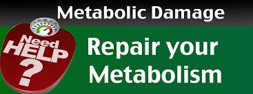 METABOLIC DAMAGE FROM SEVERE DIETING – IS IT REAL? - Maik Wiedenbach
