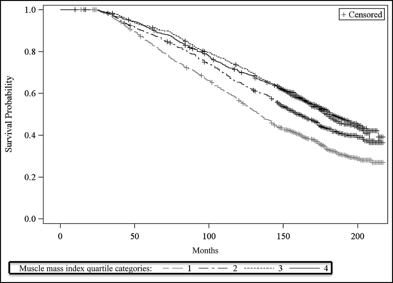 The Link Between Muscle Mass and Longevity: What the Latest Research ...